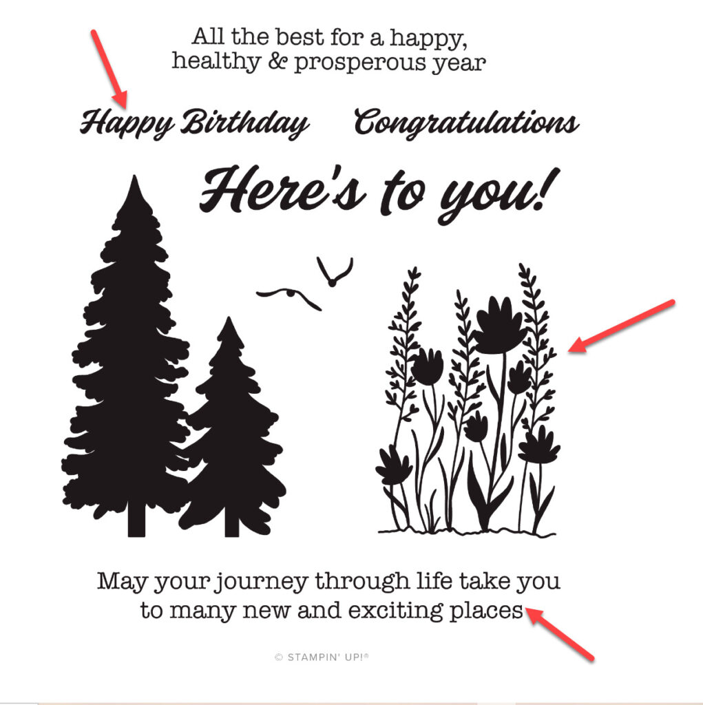 March Paper Pumpkin Alternatives - Elegant Sentiments
